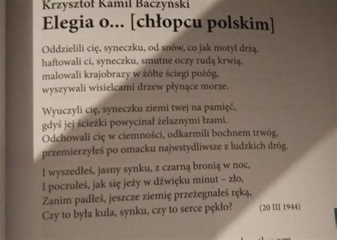 wypisz wszystkie metafory anofory epitety i porównania Brainly pl