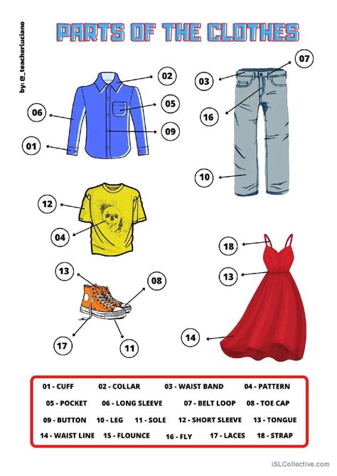 Parts Of The Clothes General Vocabul Fran Ais Fle Fiches Pedagogiques