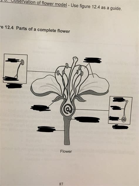 Part Of A Complete Flower Diagram Quizlet