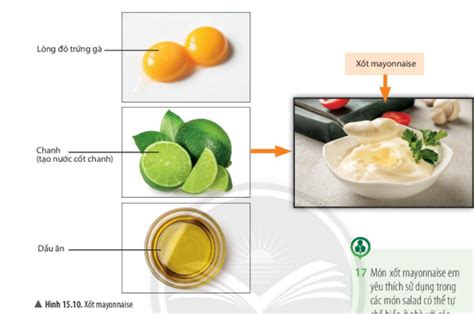 Chất tinh khiết Hỗn hợp KHTN 6 Chân trời sáng tạo Khoa học tự