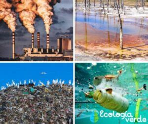 3 ejemplos de cómo la basura contamina nuestro entorno INFO Medio