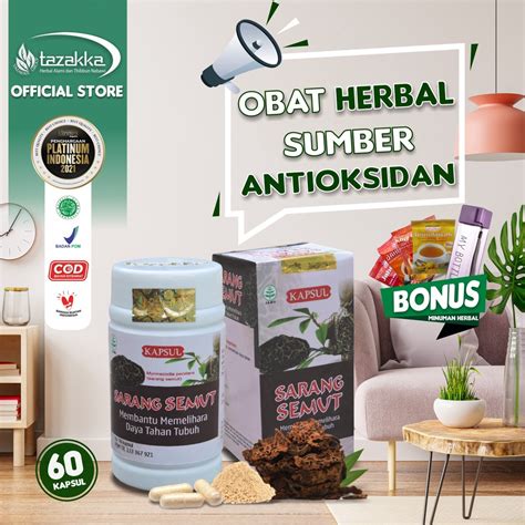 Jual Sarang Semut Papua Asli Original 100 Ekstrak Herbal Tazakka
