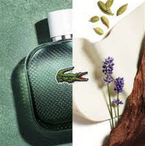 Lacoste L 12 12 Blanc Eau Intense EDT Cologne Minyak Wangi 香水 for
