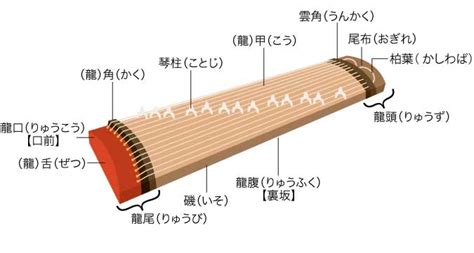尺八箏とは カモメと学ぶ伝統芸能