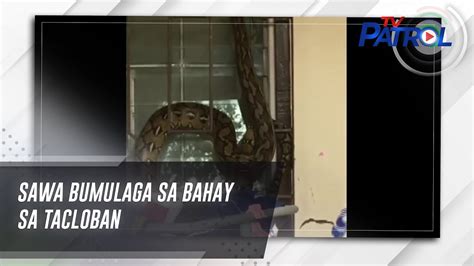 Sawa Bumulaga Sa Bahay Sa Tacloban TV Patrol YouTube