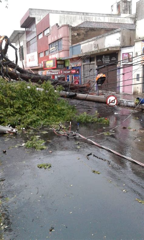 Chuva forte derruba árvores e causa estragos em Bauru Bauru e Marília
