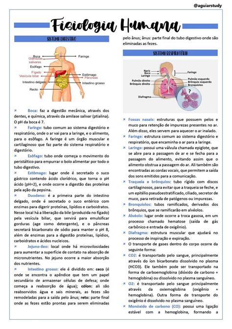 Fisiologia Humana Fisiologia Humana II
