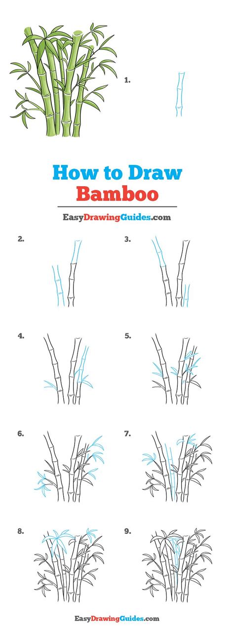 How To Draw Bamboo Really Easy Drawing Tutorial Bamboo Drawing