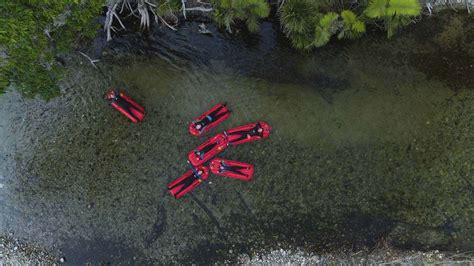 Daintree Rainforest River Snorkelling Adventure From Tree Hugger