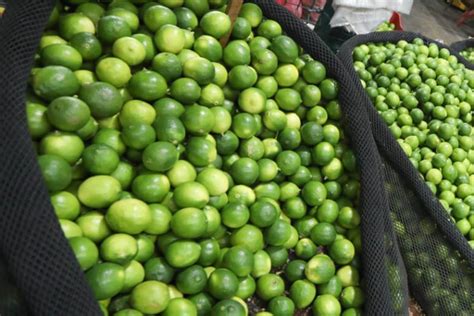 El precio del limón cae a su nivel más bajo de la temporada