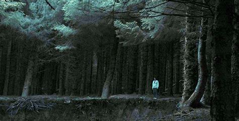 C Psulas De Cine El Bosque Maldito The Hole In The Ground