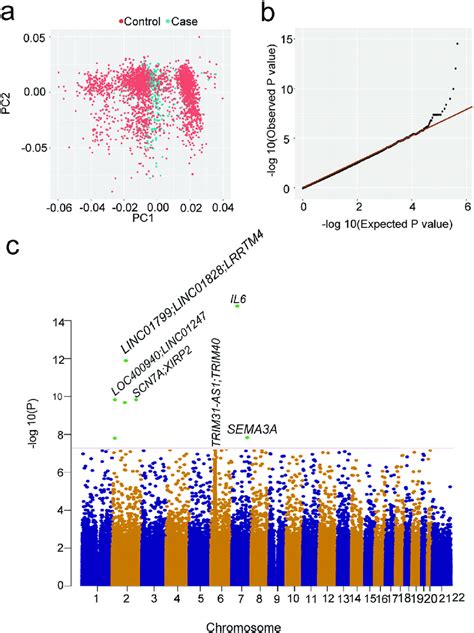 summary of gwas results a principal component analysis pca b the download scientific