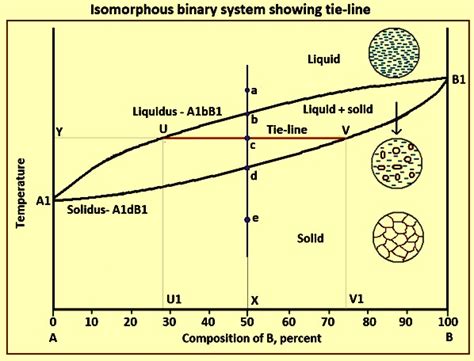 Example Binary Isomorphous System Phase Diagram Solved Phase