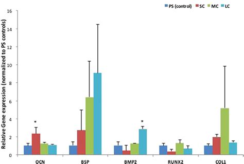 Relative Gene Expression Of Ocn Bsp Bmp Runx And Col Genes At