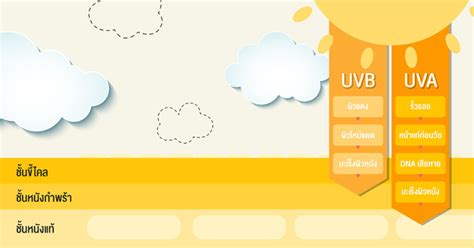 ลบตนกา หนาออนวย ผวทนแดด ดวยสดยอดสารตานอนมลอสระ แอสตาแซนธน
