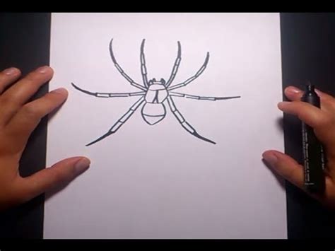 Como Dibujar Una Ara A Paso A Paso How To Draw A Spider Youtube