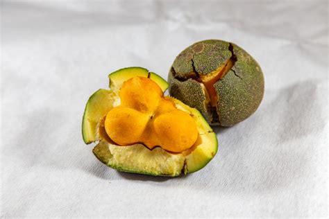 Pequi Um Fruto Que Se Destaca Por Sua Polpa Amarelada E Sabor