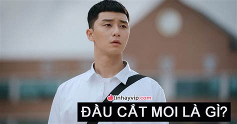 Đầu cắt moi là gì Tổng hợp những kiểu tóc cắt moi đẹp nhất Tinhayvip