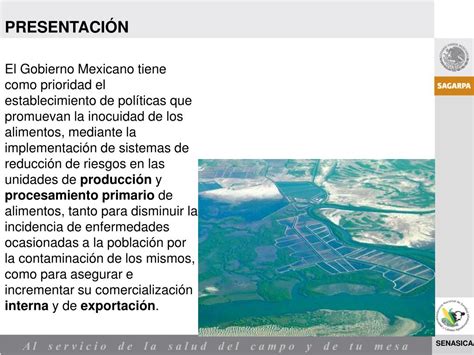 Ppt Programas De Reducci N De Riesgos En Productos Pesqueros Y