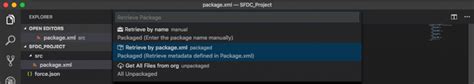 Setup Salesforce Dx Ide Environment With Visual Studio Code Xgeek