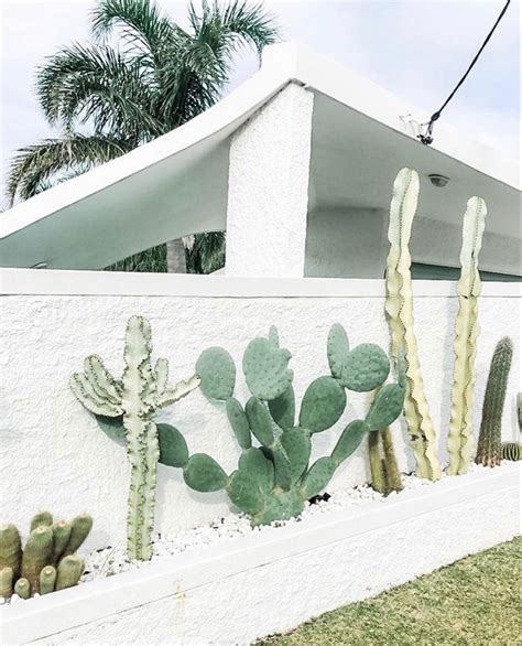 Indoor Cactus Garden Cactus Garden Landscaping Cactus House Plants