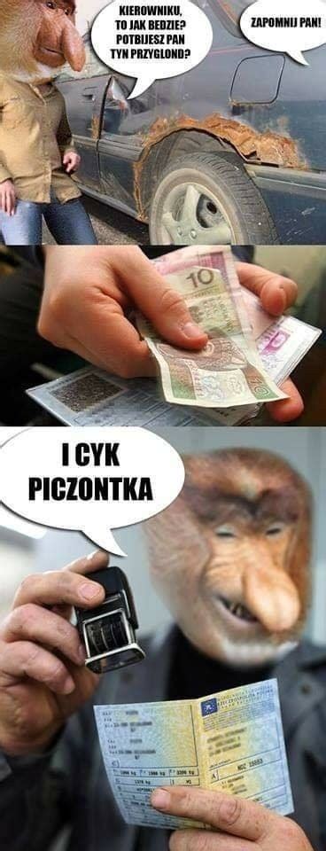 Arty Z Tych Samochod W Bawi Najbardziej Oto Naj Mieszniejsze Memy O