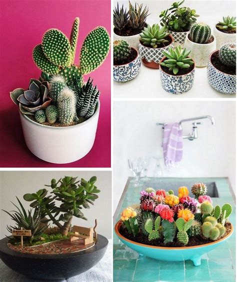 Ideias Criativas E Inusitadas De Vasos Para Suculentas E Cactos