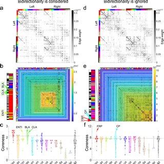 Complexes In A Mouse Connectome Bidirectionality Is Considered In