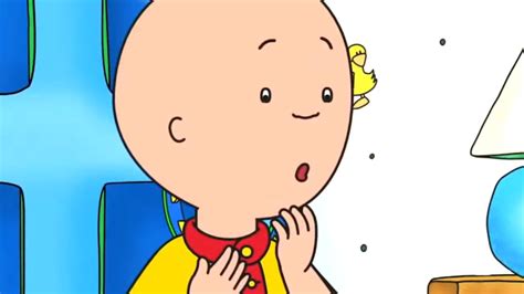 Caillou e a Grande Questão Caillou em Português WildBrain YouTube