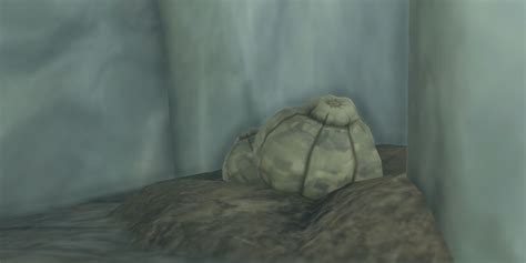 The Ultimate Guide To Finding Every Mushroom Type In Zelda Tears Of