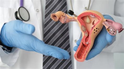 Benign And Malignant Lesions Of The Cervix Cerviron