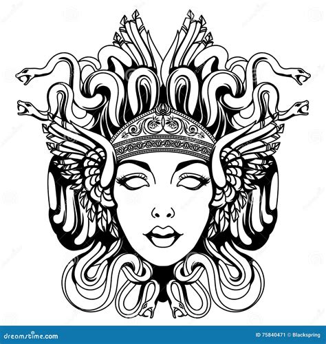 Medusa Of The Gorgon Vector Illustration CartoonDealer 124310420