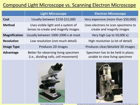 Differences Between Light Microscope And Electron Microscope