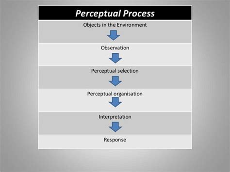 perceptual selection