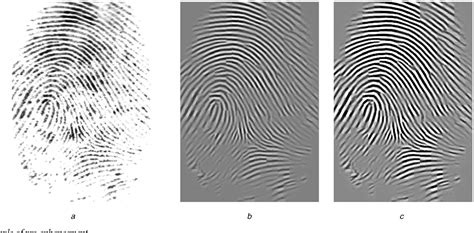 figure 1 from collaborative filtering model for enhancing fingerprint image semantic scholar
