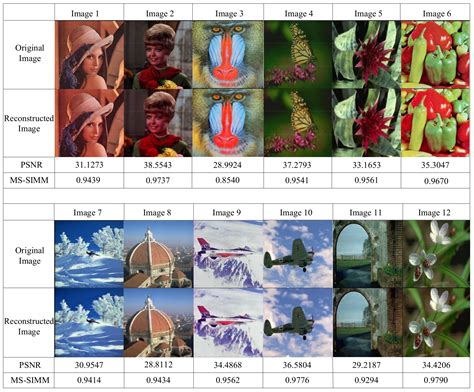applied sciences free full text an fpga implementation of a convolutional auto encoder