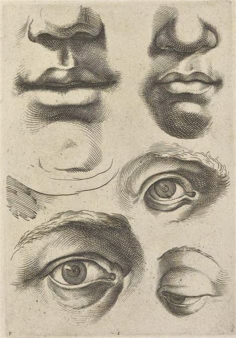 Pin By Tatiane Vidal On Drawings Anatomy Art Ink Drawing Techniques