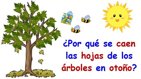 POR QUÉ SE CAEN LAS HOJAS DE LOS ÁRBOLES EN OTOÑO YouTube