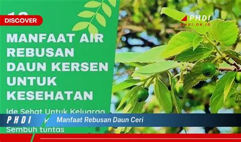 Temukan 7 Manfaat Rebusan Daun Ceri Yang Jarang Diketahui