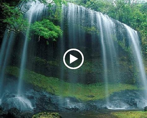 Pemandangan Alam Bergerak Newstempo