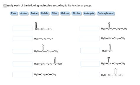 Oneclass Thank You Classify Each Of The Following Molecules According