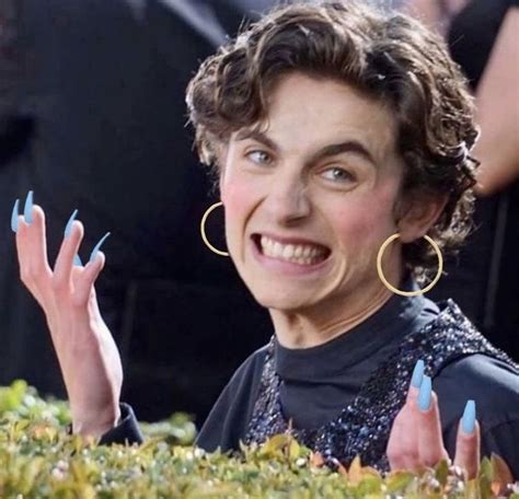 Pin By Izel On Timothée Chalamet