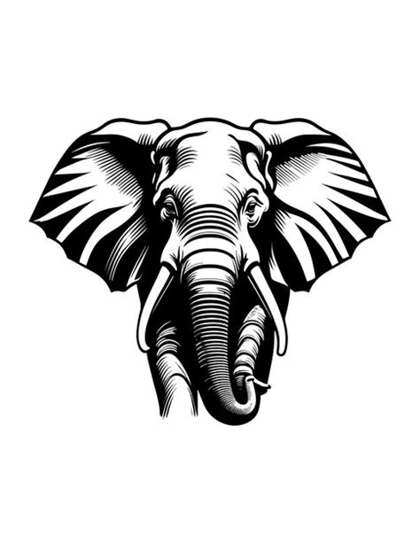 Premium Vector Elephant Vector Design