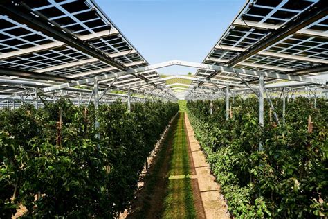 Modellregion Agri PV BaWü Fraunhofer ISE
