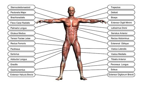 R Sultats Google Recherche D Images Correspondant Keana Fr