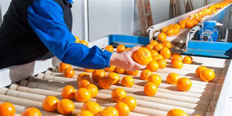 Factores de Producción Cuáles son características y ejemplos