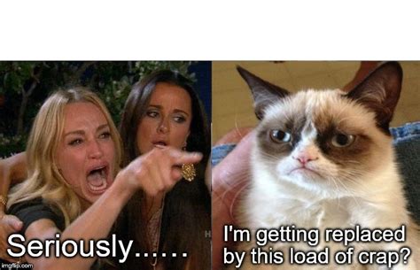 Woman Yelling At Cat Meme Imgflip