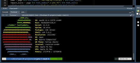 Ide Terminal Does Not Show Icons From Zsh And Powerlevel K Rstudio