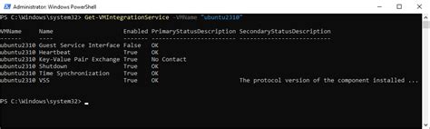 How To Install Hyper V Integration Services In The Ubuntu Linux VM