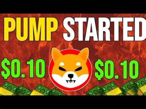 SHIBA INU COIN NEWS TODAY SHIBA INU COIN TO HIT 0 10 IN THIS WEEK
